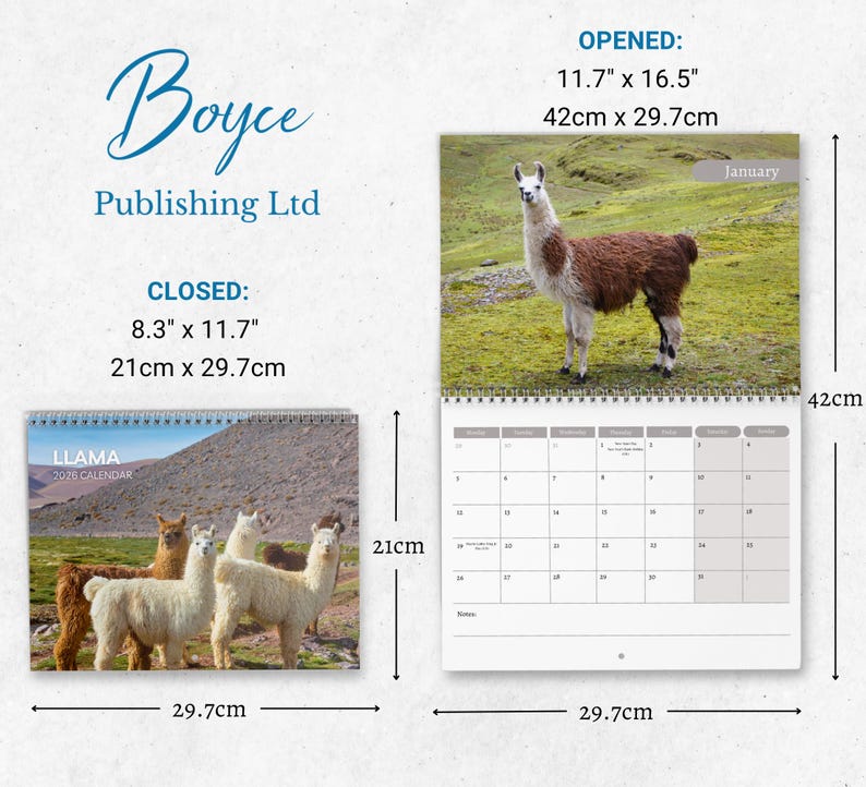 Llama Calendar 2026: Monthly Wall Calendar With Notes, Opens to A3 Size ...