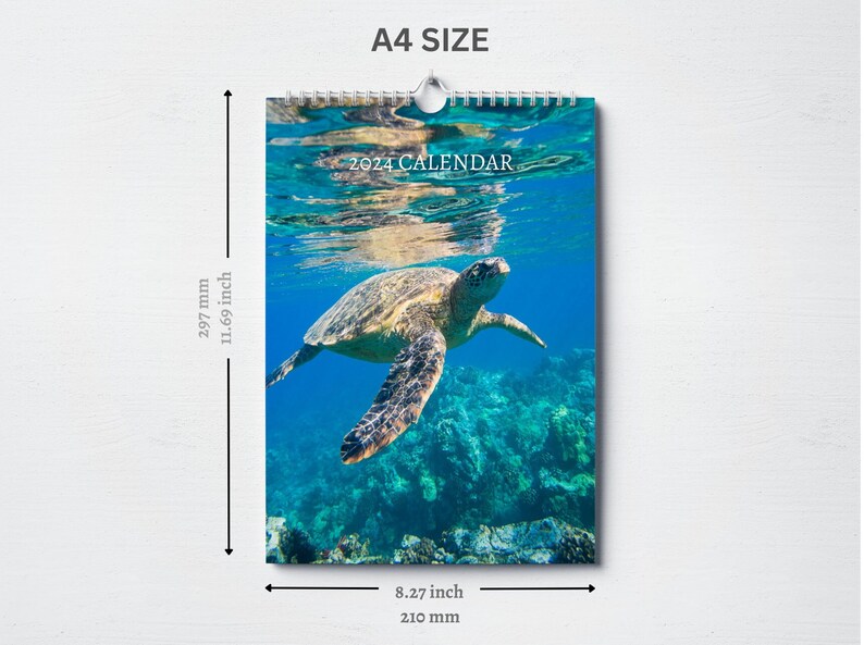 Turtle Calendar 2024 Monthly Wall Calendar, A4 Hanging Calendar Perfect ...