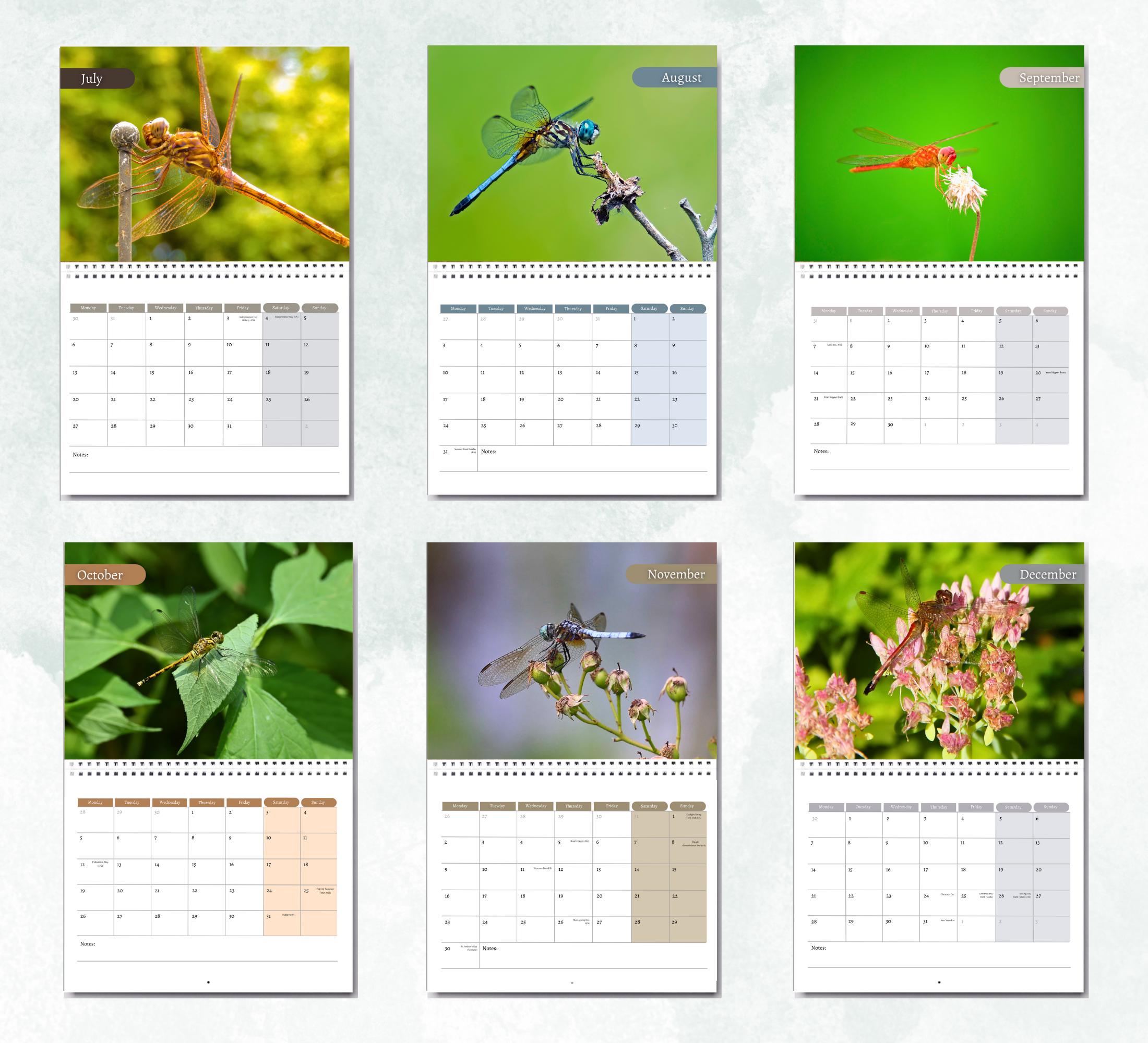 Dragonfly Calendar 2026: Monthly Wall Calendar With Notes, Opens to A3 ...