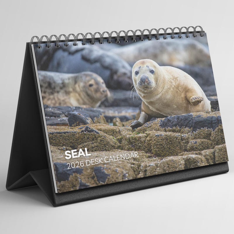 Seal Desk Calendars - Etsy