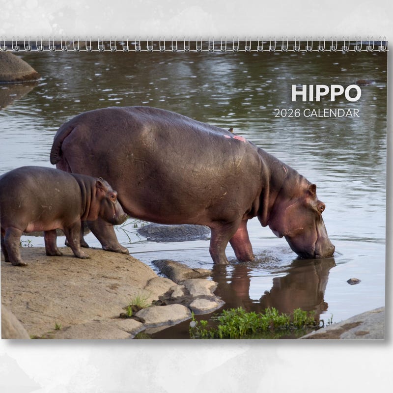 Hippo Gifts Christmas - 60+ Gift Ideas for 2025