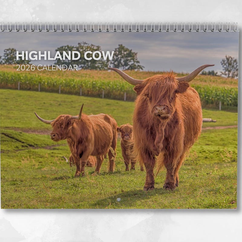 Highland Cow Calendar - Etsy UK