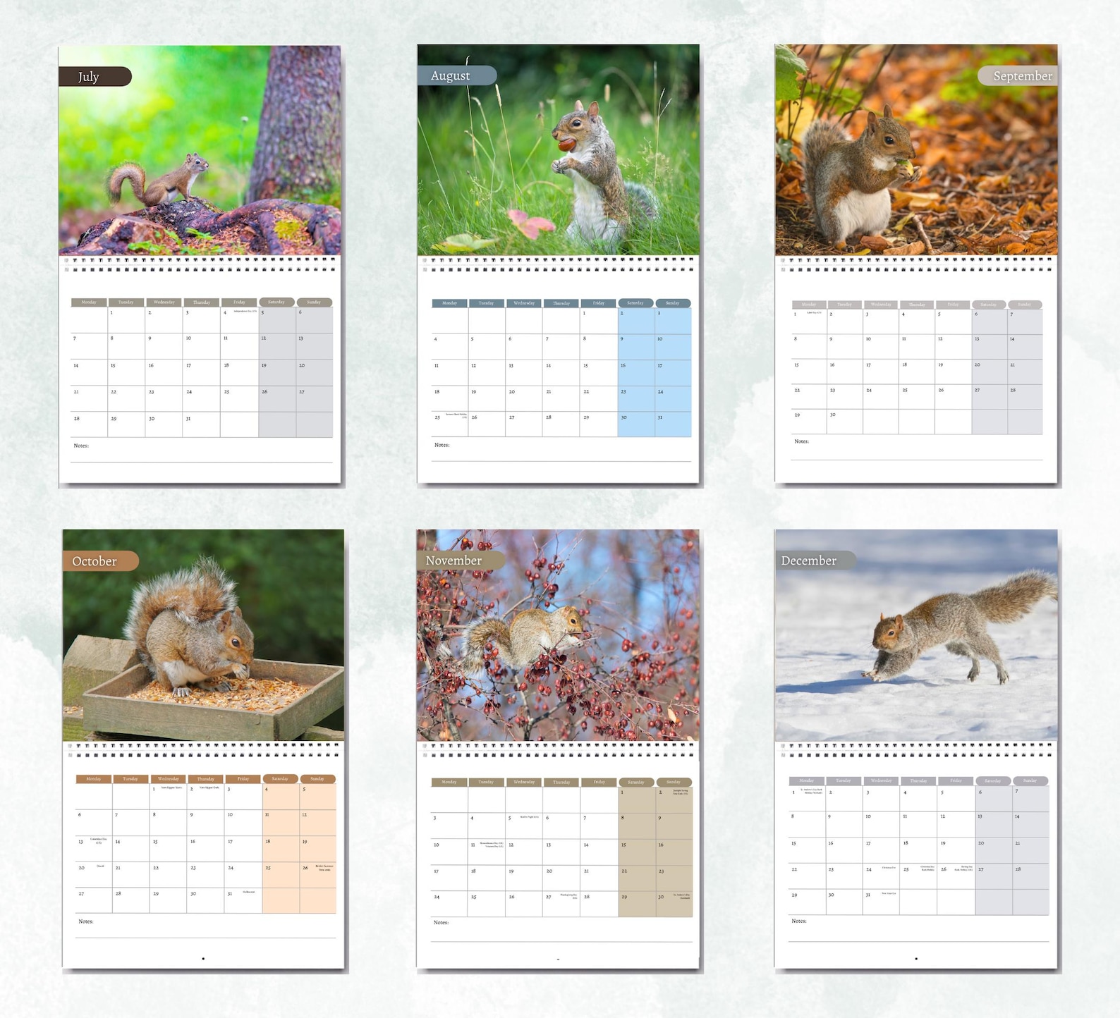 Squirrel Calendar 2026: Monthly Wall Calendar With Notes, Opens to A3 ...