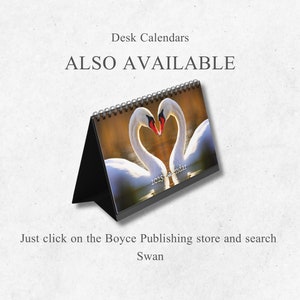 Swan Calendar 2025: Monthly Wall Calendar With Notes, Hanging A4 Size ...