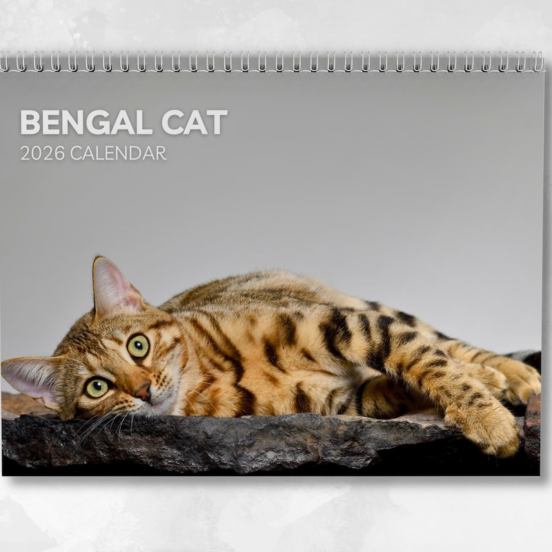 Bengals 2026 calendar - Etsy.de