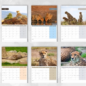 Cheetah Calendar 2025: Monthly Wall Calendar With Notes, Hanging A4 ...