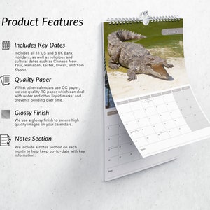 Crocodile Calendar 2025: Monthly Wall Calendar With Notes, Hanging A4 ...