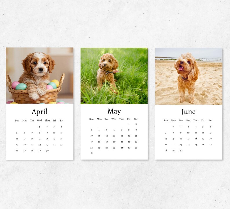 Cavapoo Calendar 2026: Mini Desk Calendar, Cavapoo Calendar 2026-2027 ...