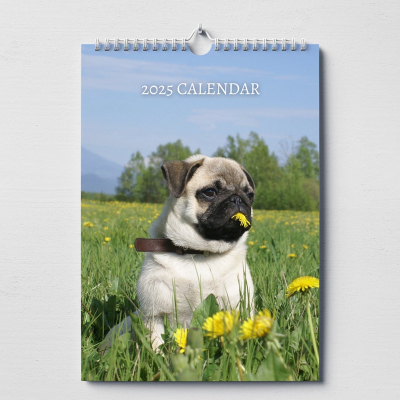 Pug Calendar - Etsy