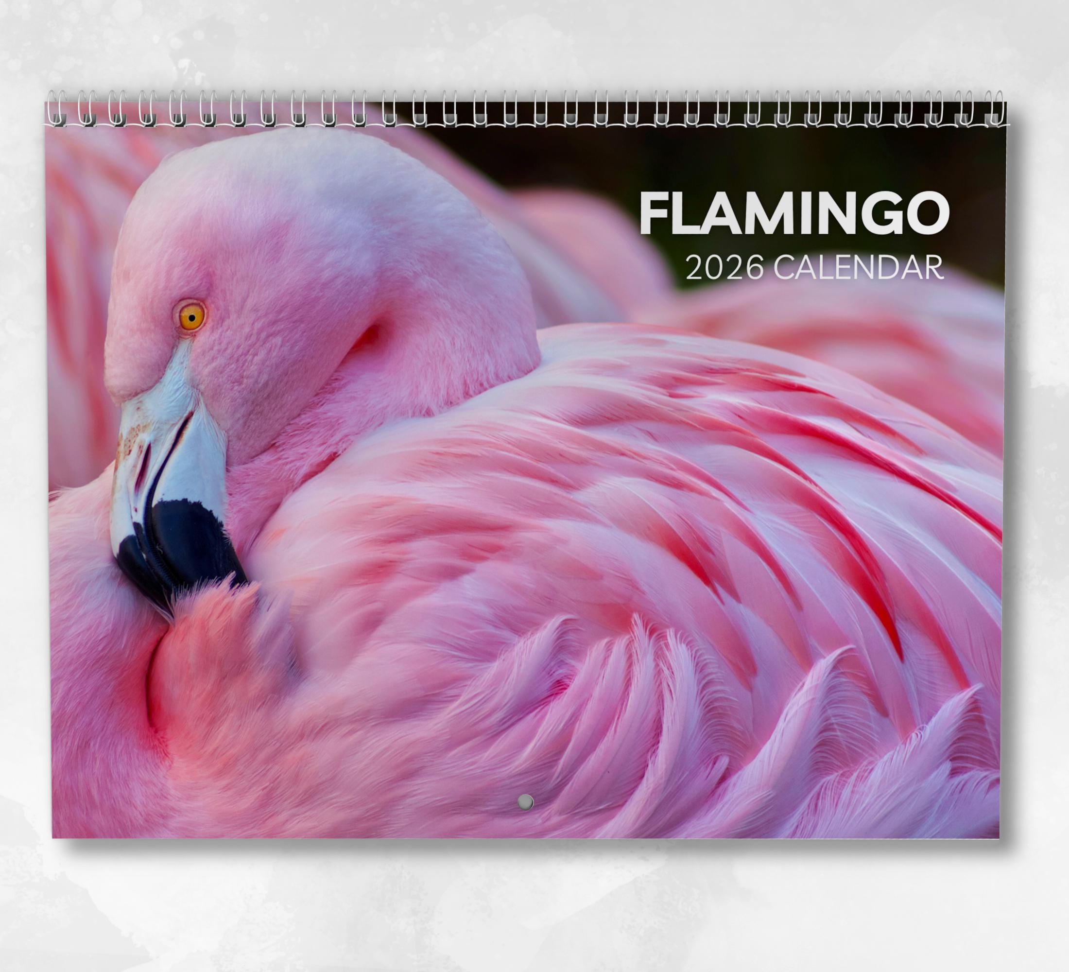 Flamingo Calendar 2026: Monthly Wall Calendar With Notes, Opens to A3 ...