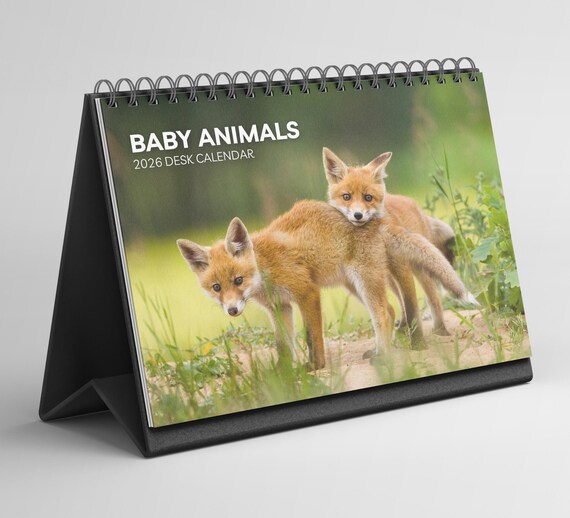 Stand Up Desk Calendar 2025 PDF Mini Desk Calendar 2026-2027, 18 Months ...