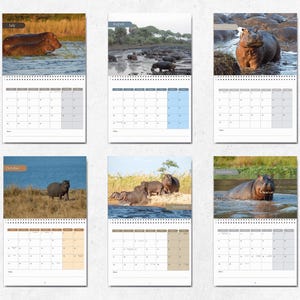 Hippo Calendar 2025: Monthly Wall Calendar With Notes, Opens to A3 Size ...