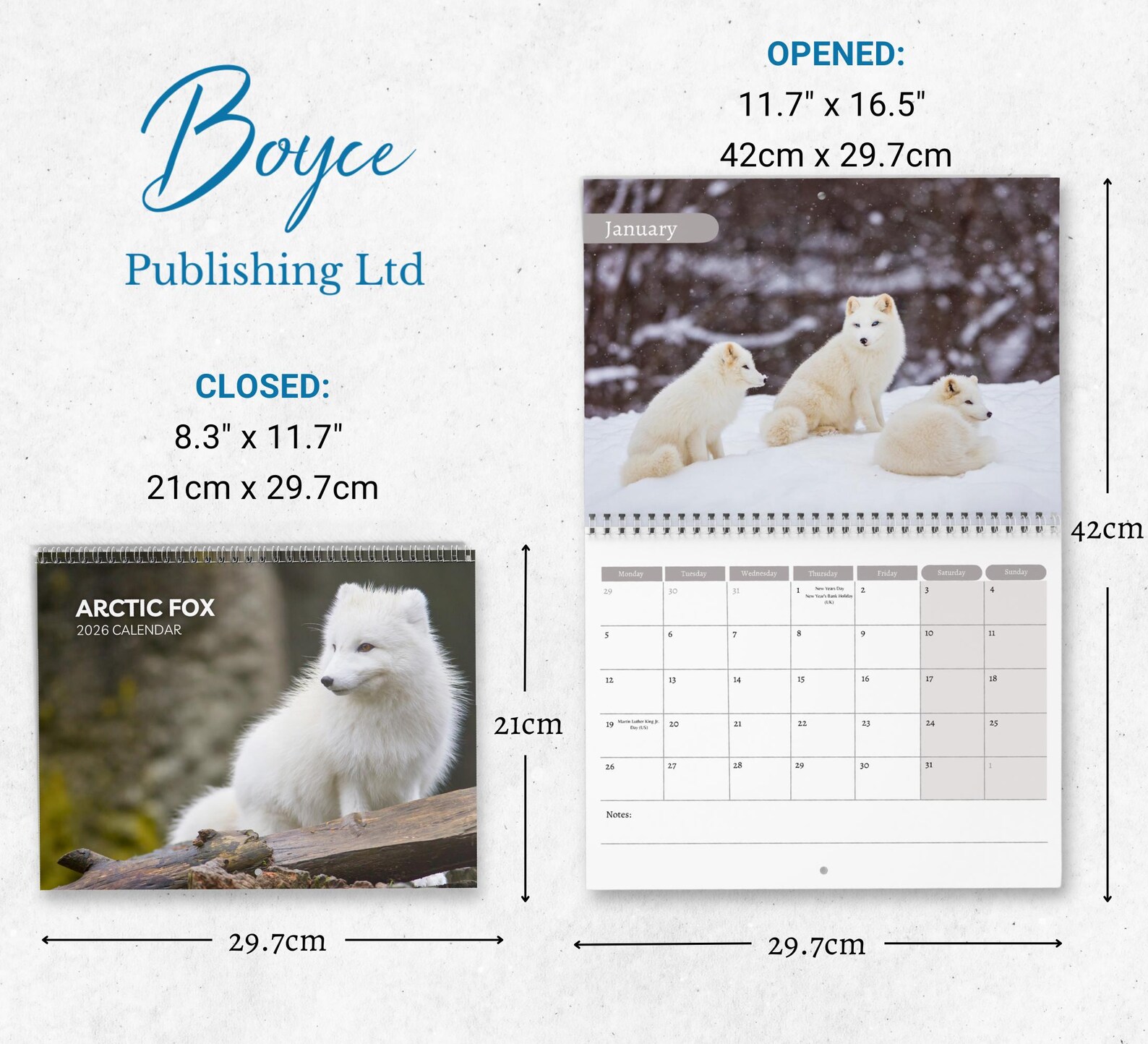 Artic Fox Calendar 2026: Monthly Wall Calendar With Notes, Opens to A3 ...
