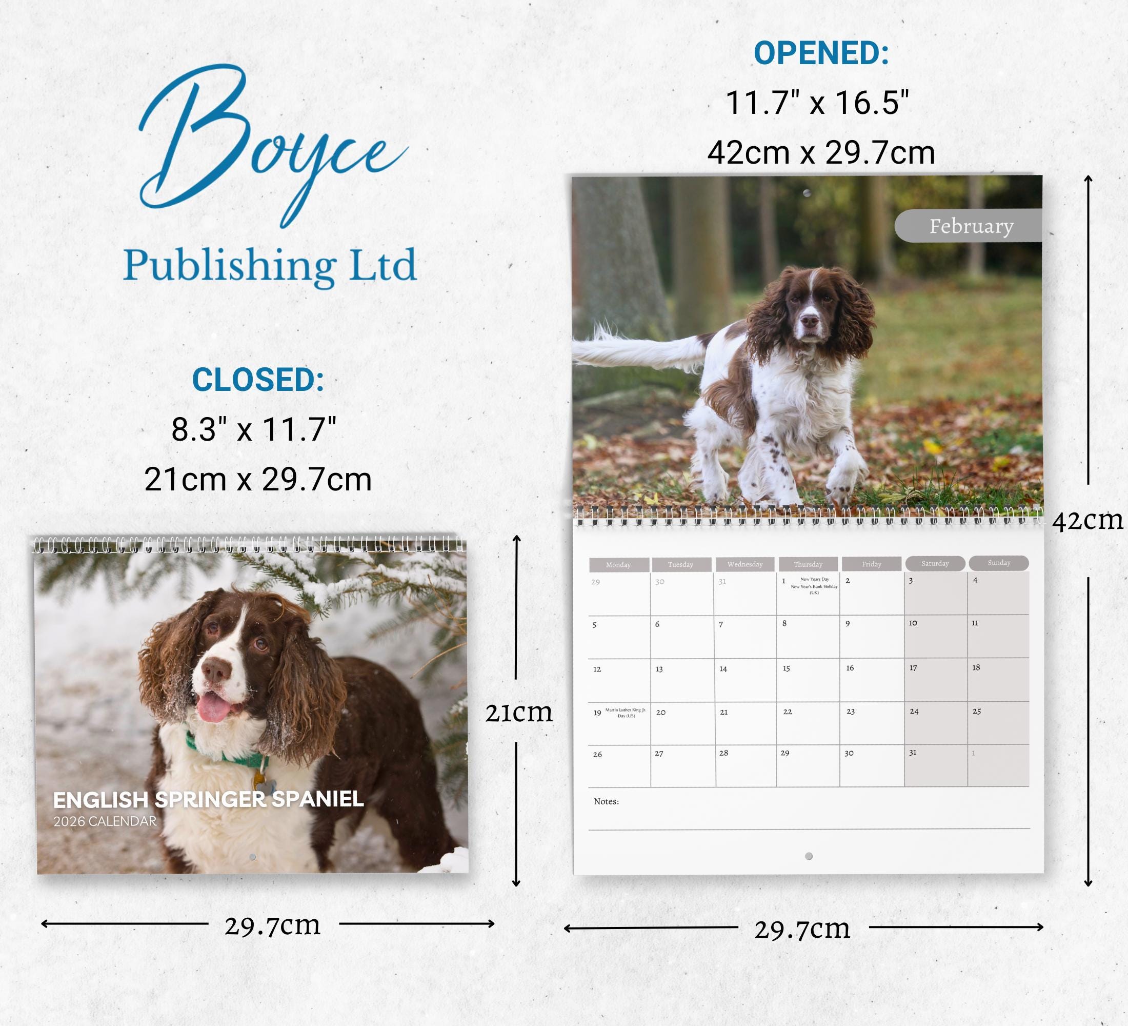 English Springer Spaniel Calendar 2026: Monthly Wall Calendar With ...