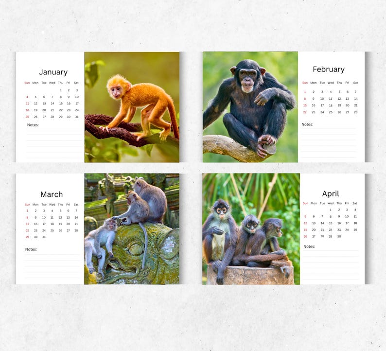 Monkey Desk Calendar 2026-2027: Standing Flip Desktop Calendar With ...