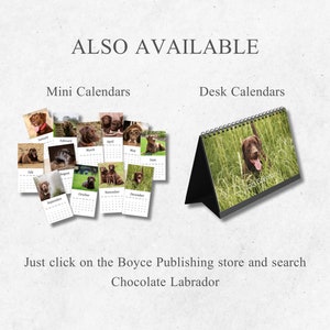 Chocolate Labrador Calendar 2025: Monthly Wall Calendar With Notes ...