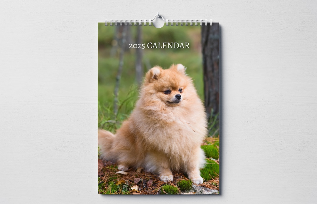 Pomeranian Calendar 2025: Monthly Wall Calendar With Notes, Hanging A4 ...