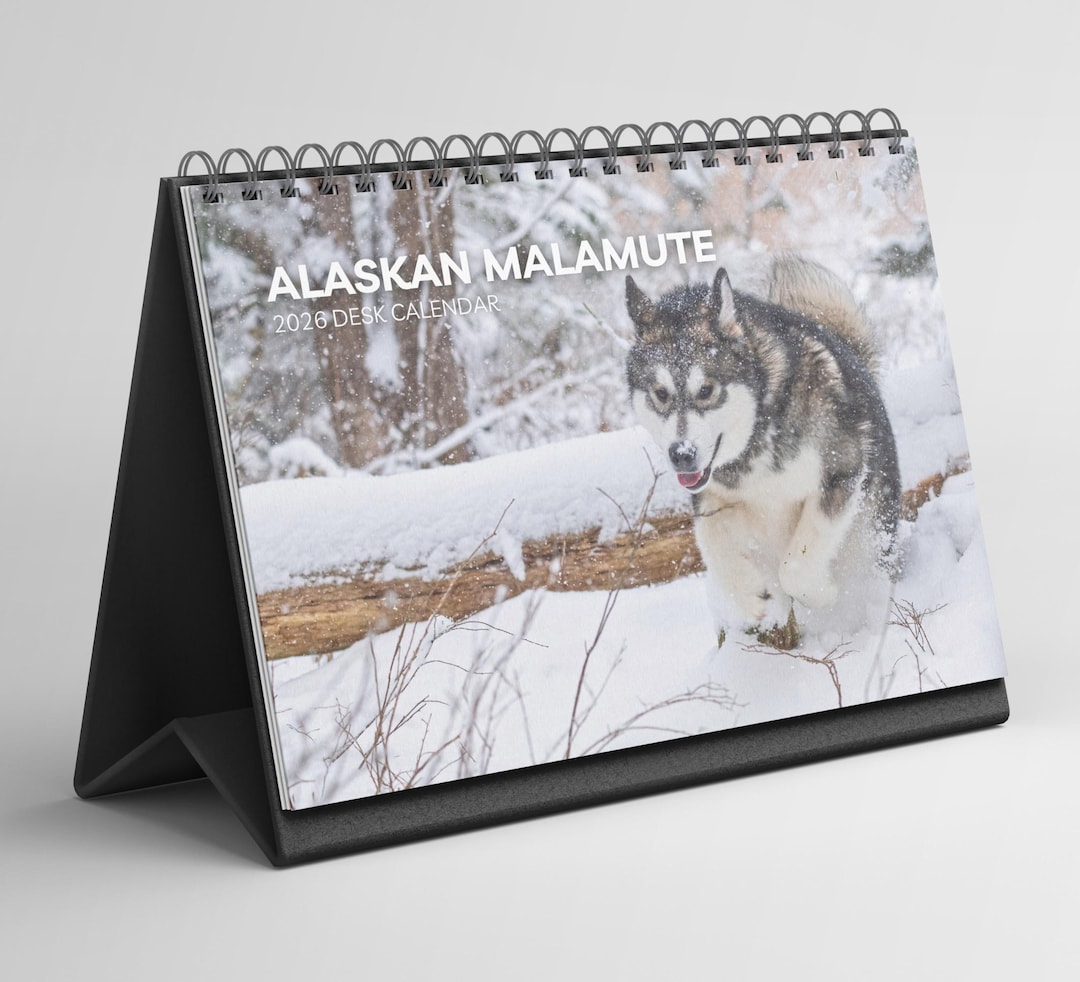 Alaskan Malamute Desk Calendar 2026-2027: Standing Flip Desktop ...