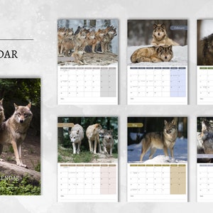 Wolf Calendar 2024 Monthly Wall Calendar, A4 Hanging Calendar Perfect ...