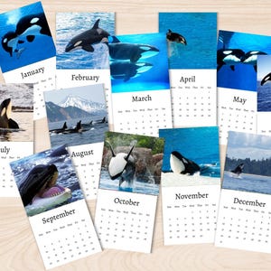 Orca Calendar 2025: Mini Desk Calendar, Orca Calendar 2025-2026 ...