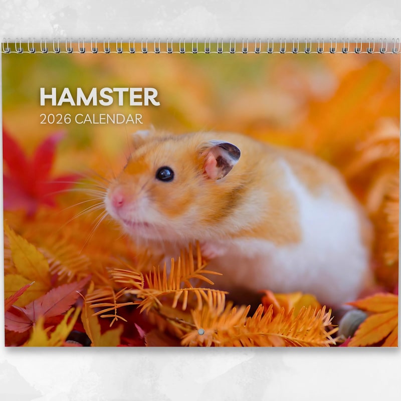 Christmas Hamster - Etsy