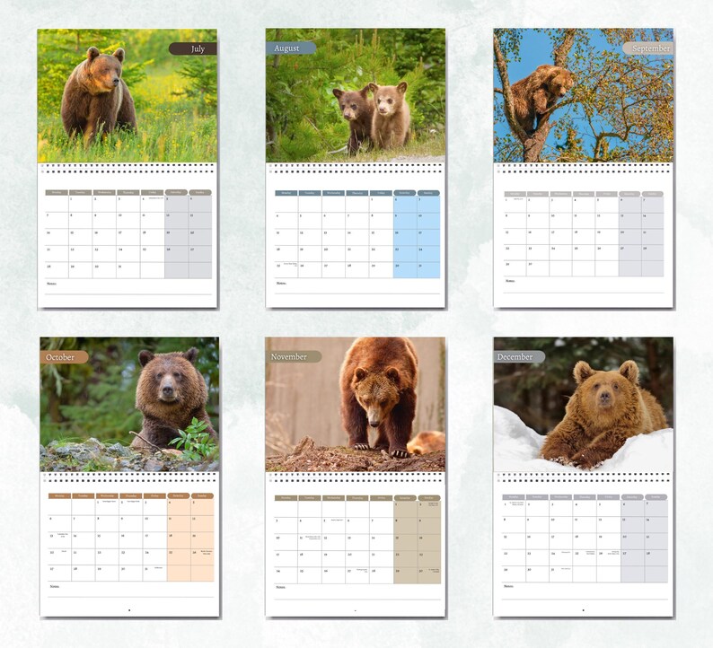 Bear Calendar 2026: Monthly Wall Calendar With Notes, Opens to A3 Size ...
