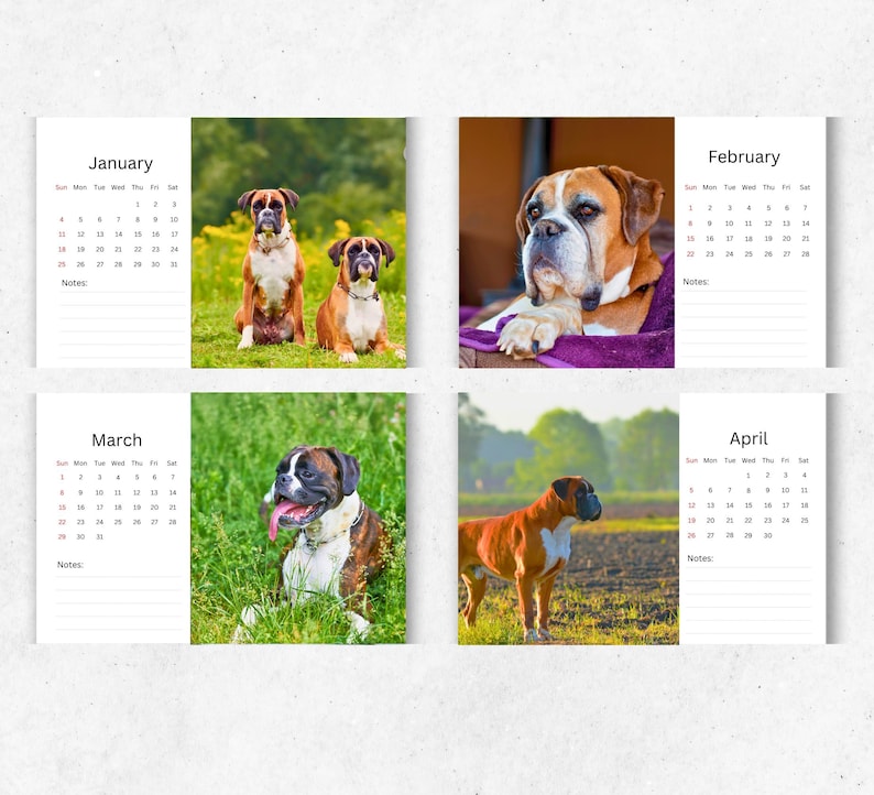 Boxer Dog Desk Calendar 2026-2027: Standing Flip Desktop Calendar With ...