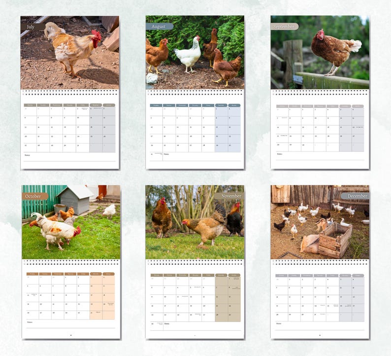 Chicken Calendar 2026: Monthly Wall Calendar With Notes, Opens to A3 ...
