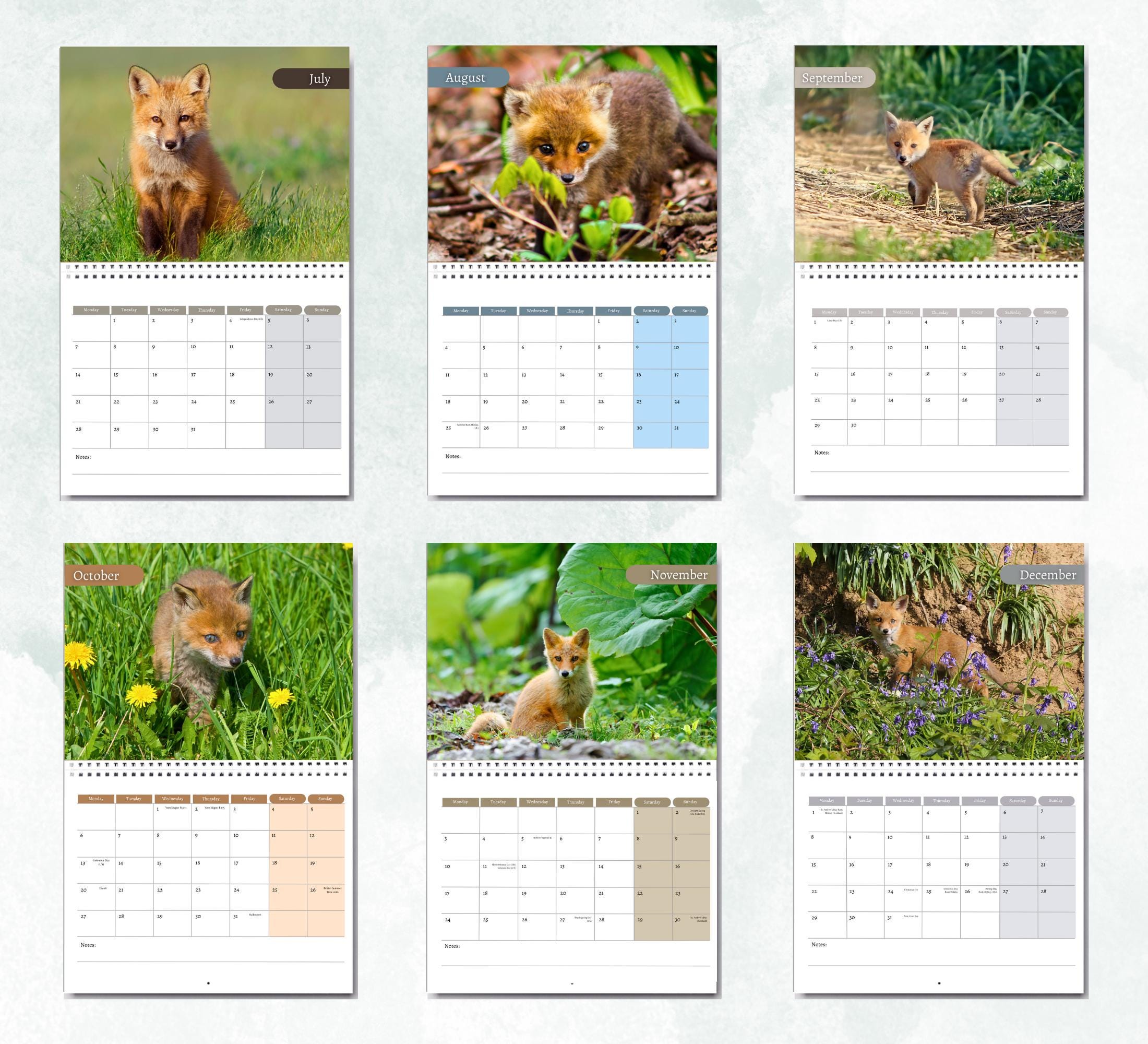 Foxes Calendar 2026: Monthly Wall Calendar With Notes, Opens to A3 Size ...