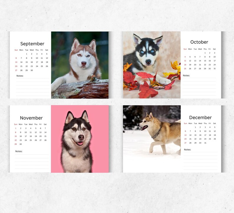 Husky Desk Calendar 2026-2027: Standing Flip Desktop Calendar With ...