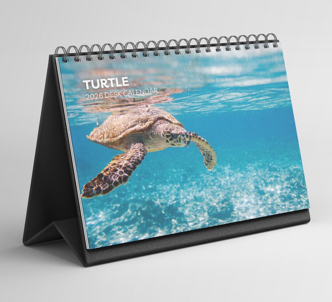 Turtle Desk Calendar 2026-2027: Standing Flip Desktop Calendar With ...