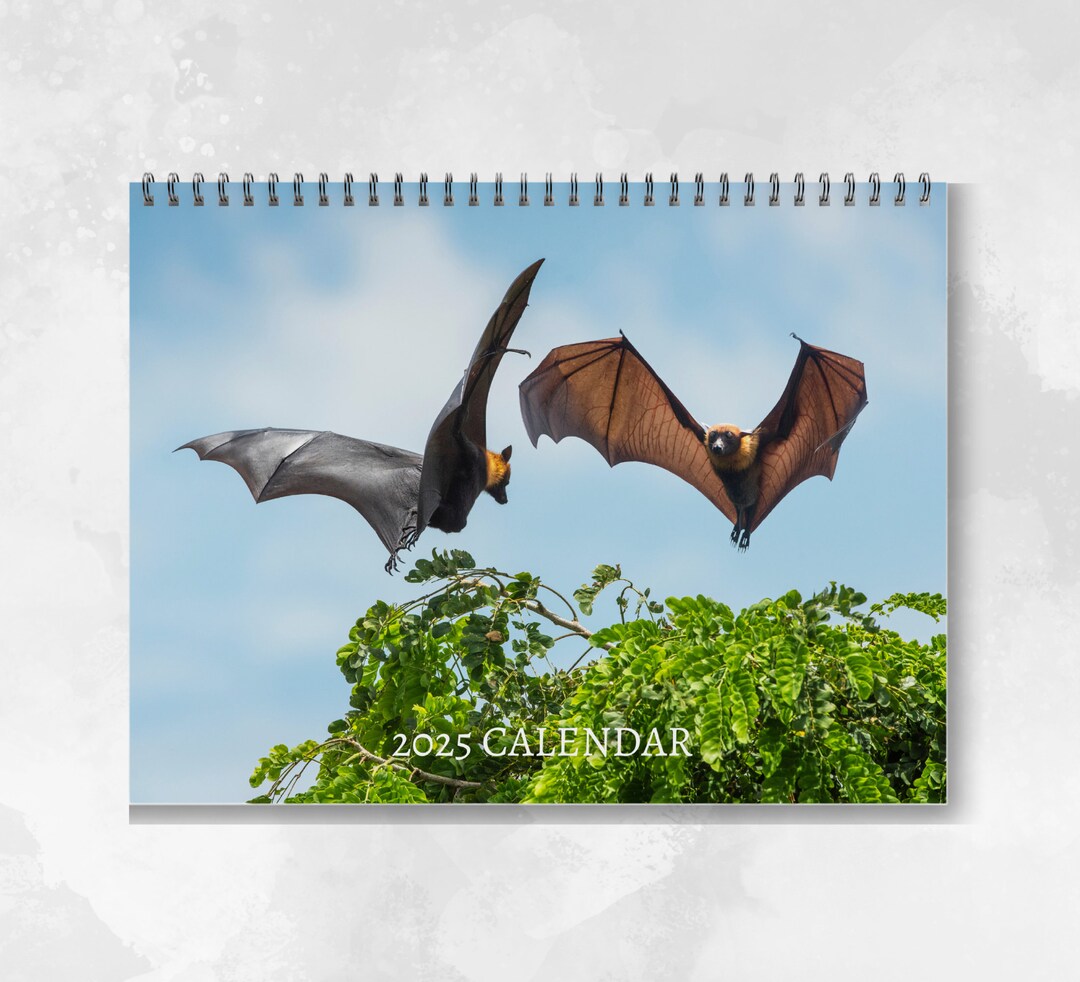 Bat Calendar 2025: Monthly Wall Calendar With Notes, Opens to A3 Size ...