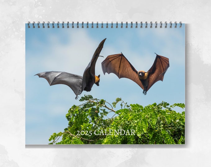 Bat Calendar 2025: Monthly Wall Calendar With Notes, Opens to A3 Size ...