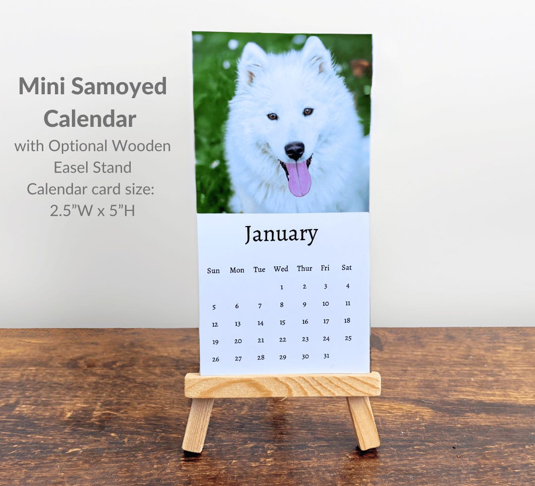 Samoyed Calendar 2025: Mini Desk Calendar, Samoyed Calendar 2025-2026 ...