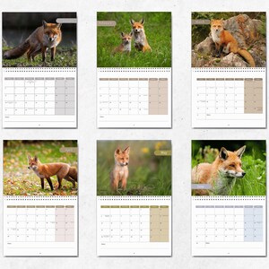 Fox Calendar 2025: Monthly Wall Calendar With Notes, Opens to A3 Size ...