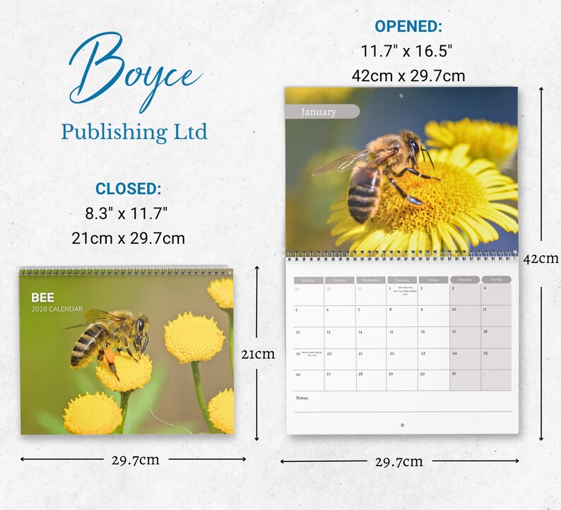 Bee Calendar 2026: Monthly Wall Calendar With Notes, Opens to A3 Size ...