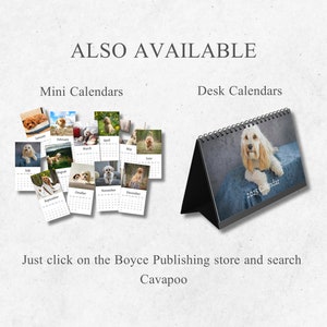 Cavapoo Calendar 2025: Monthly Wall Calendar With Notes, Opens to A3 ...
