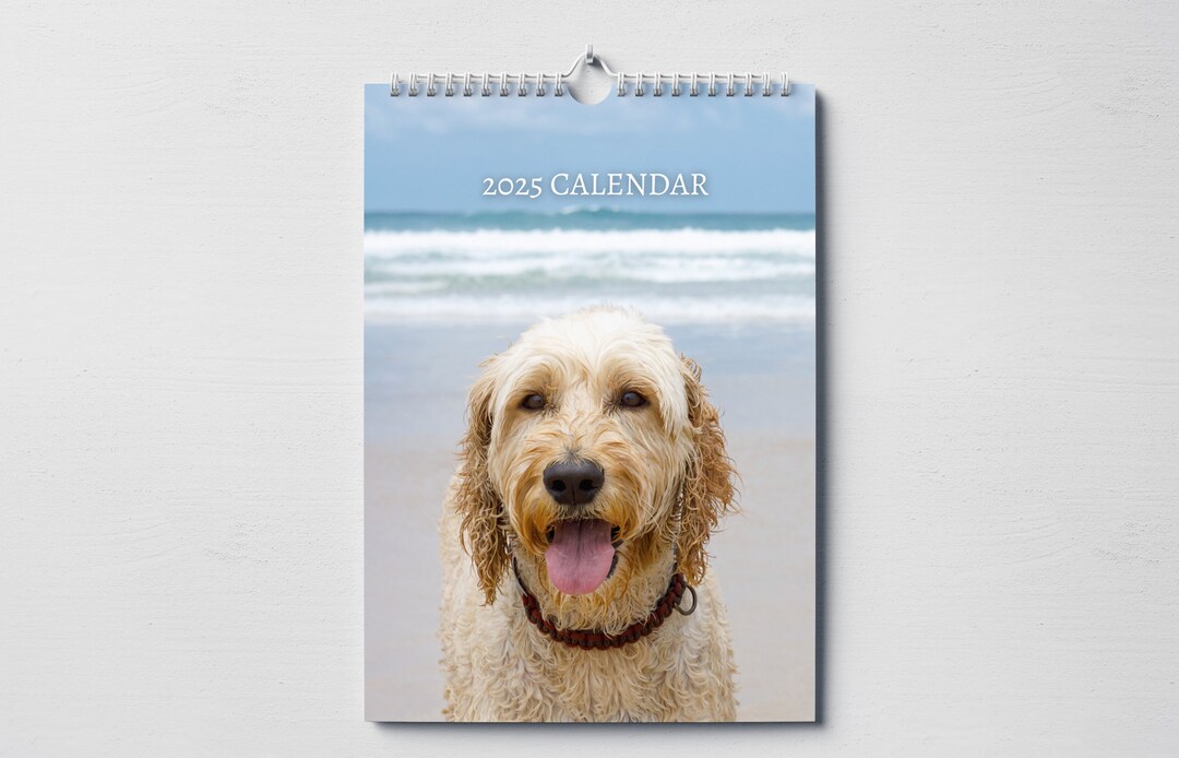 Labradoodle Calendar 2025: Monthly Wall Calendar With Notes, Hanging A4 ...