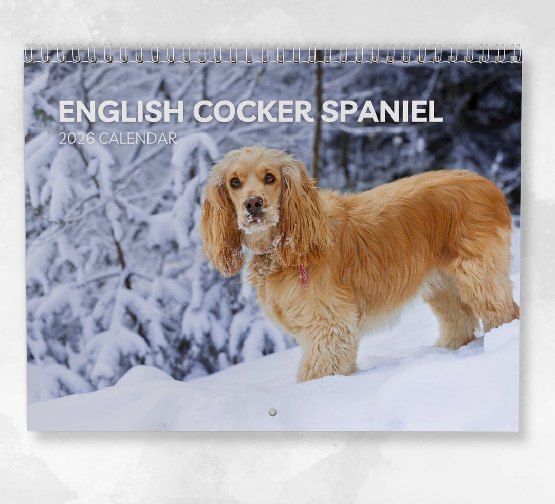 Cocker Spaniel Calendar 2026: Monthly Wall Calendar With Notes, Opens ...