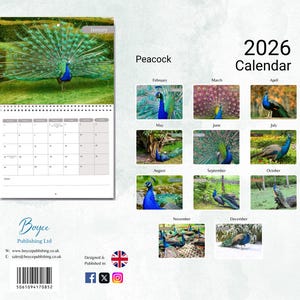 Peacock Calendar 2026: Monthly Wall Calendar With Notes, Opens to A3 ...