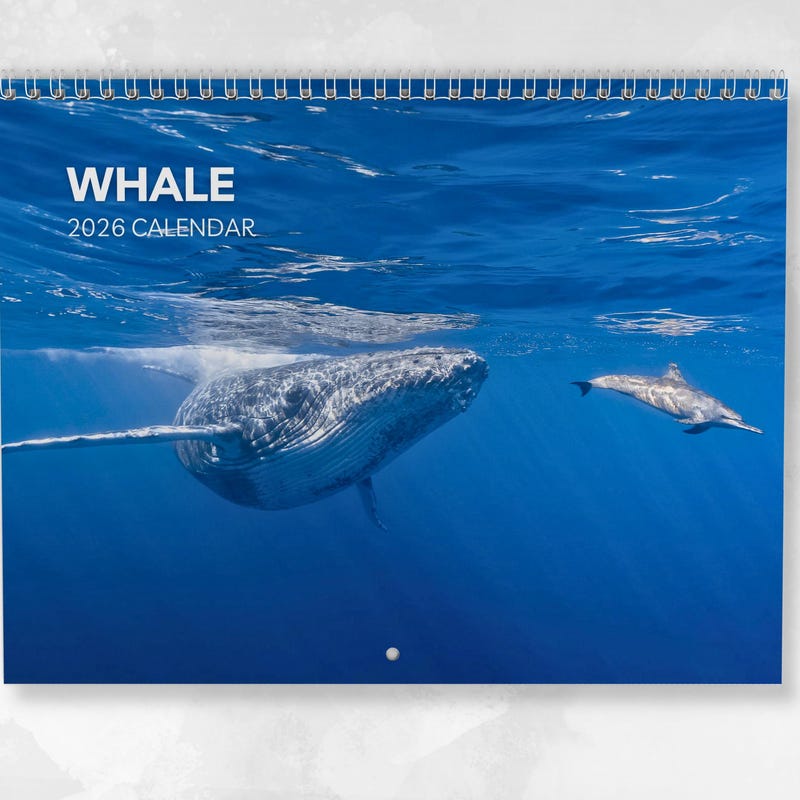 Whale Calendar 2026 - Etsy UK