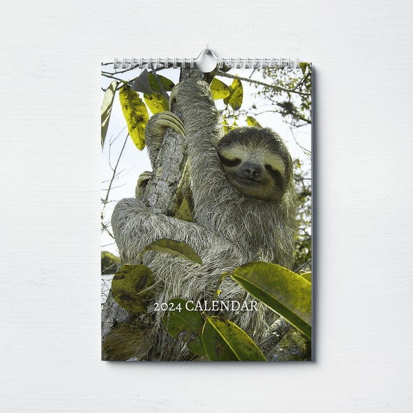 Sloth - Etsy UK