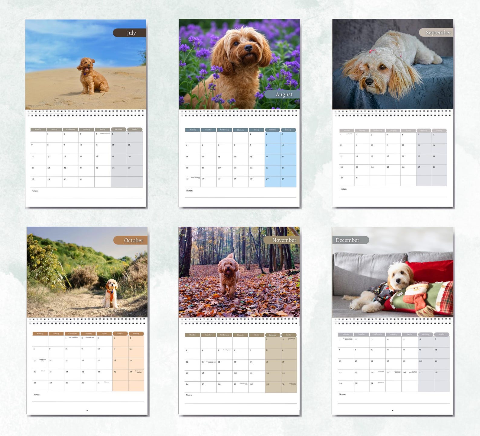 Cavapoo Calendar 2026: Monthly Wall Calendar With Notes, Opens to A3 ...