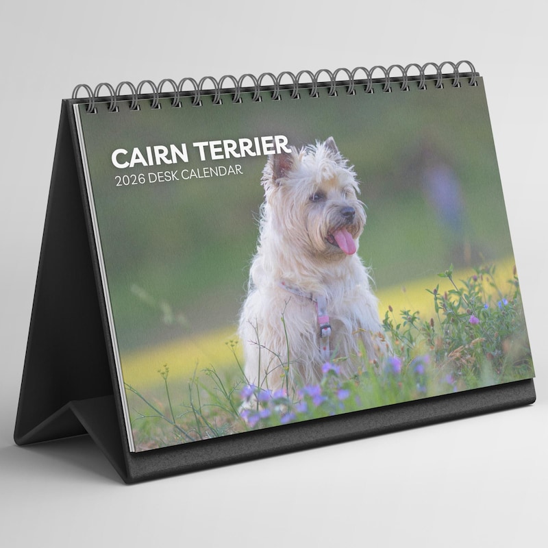 Cairn Desk - Etsy