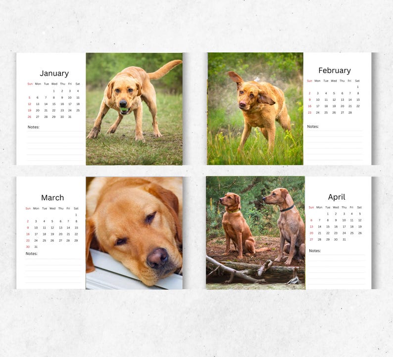 Fox Red Labrador Desk Calendar 2026-2027: Standing Flip Desktop ...