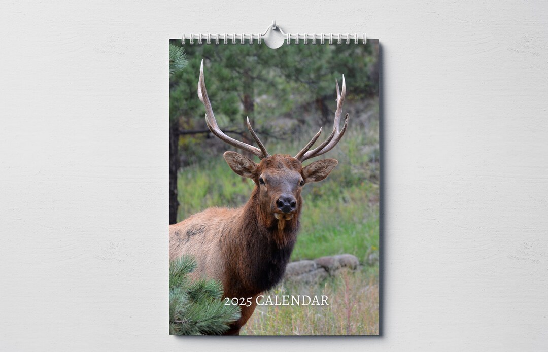 Elk Calendar 2025: Monthly Wall Calendar With Notes, Hanging A4 Size ...