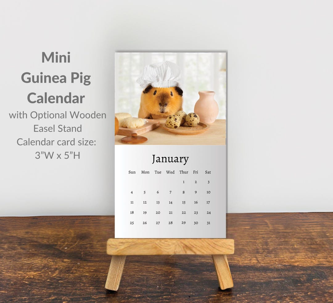 Guinea Pig Calendar 2026: Mini Desk Calendar, Guinea Pig Calendar 2026 ...