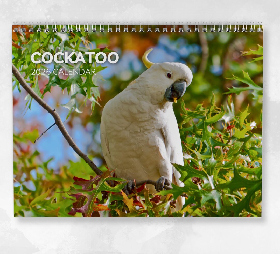 Cockatoo Calendar 2026: Monthly Wall Calendar With Notes, Opens to A3 ...