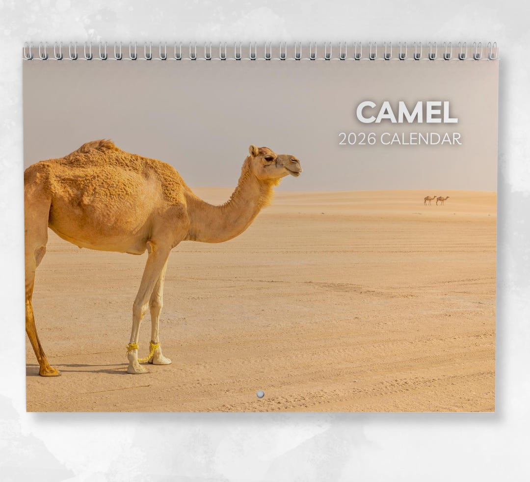 Camel Calendar 2026: Monthly Wall Calendar With Notes, Opens to A3 Size ...