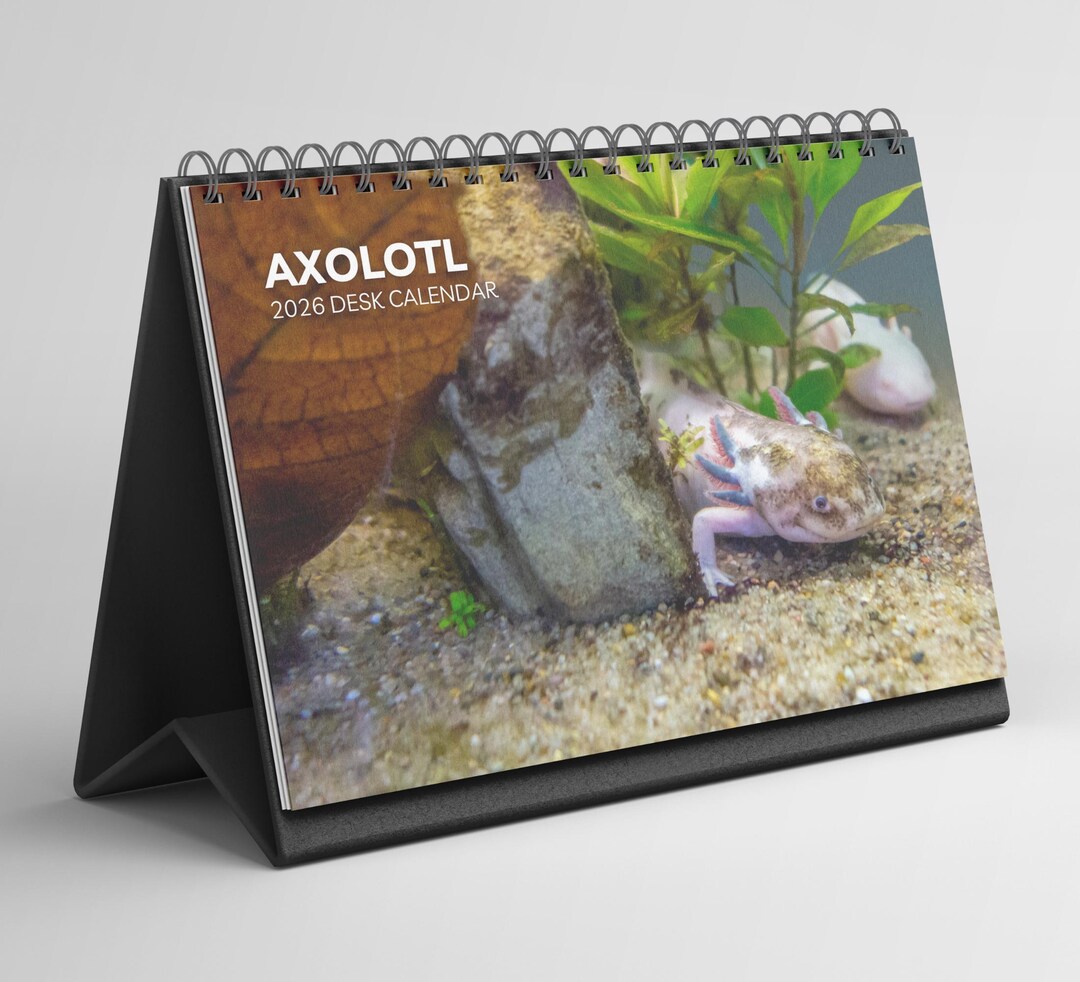Axolotl Desk Calendar 2026-2027: Standing Flip Desktop Calendar With ...